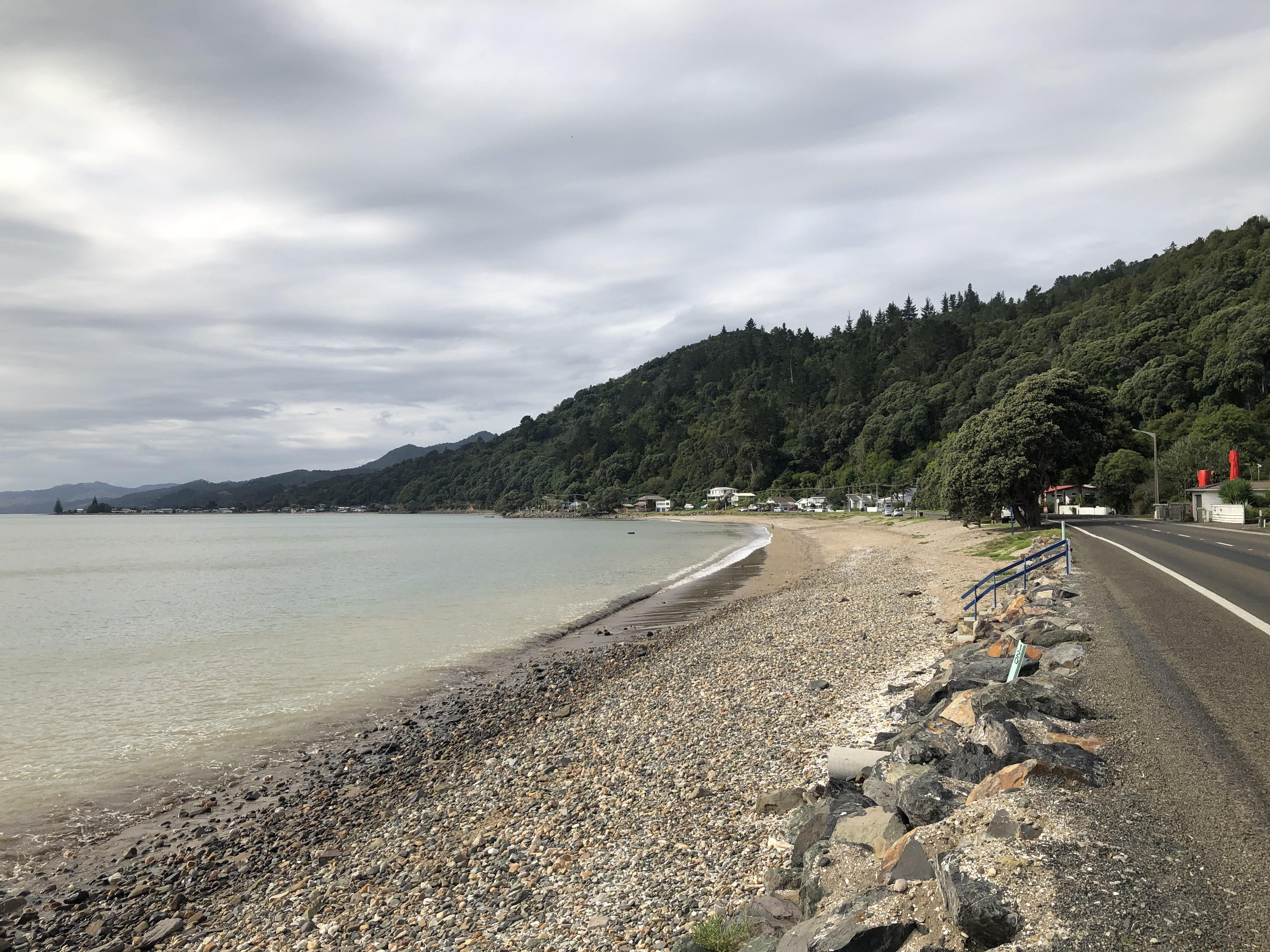 "Dynamic adaptive pathways planning" | Thames-Coromandel Coastal ...