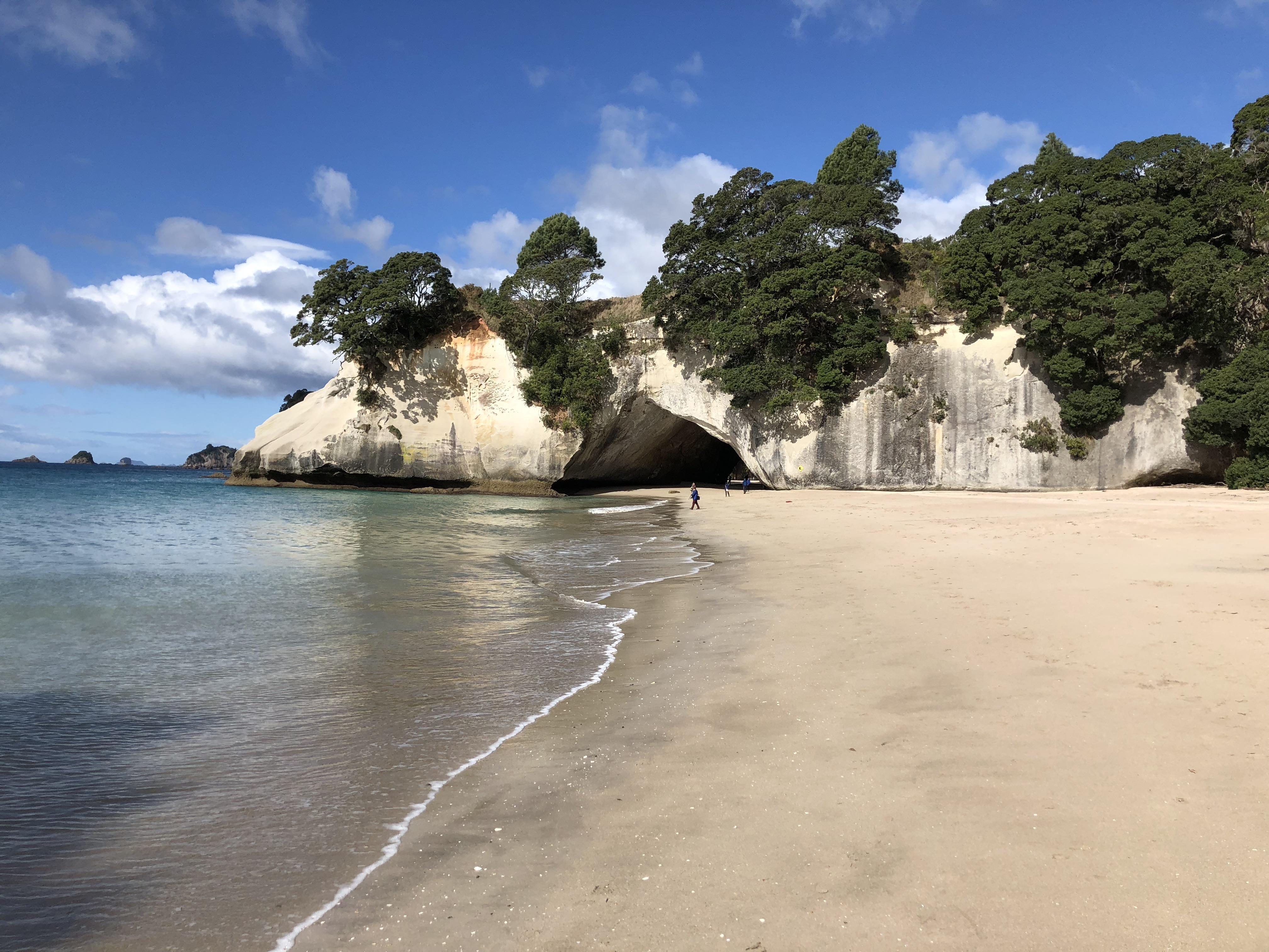 Study area and coastal assets | Thames-Coromandel Coastal Adaptation ...